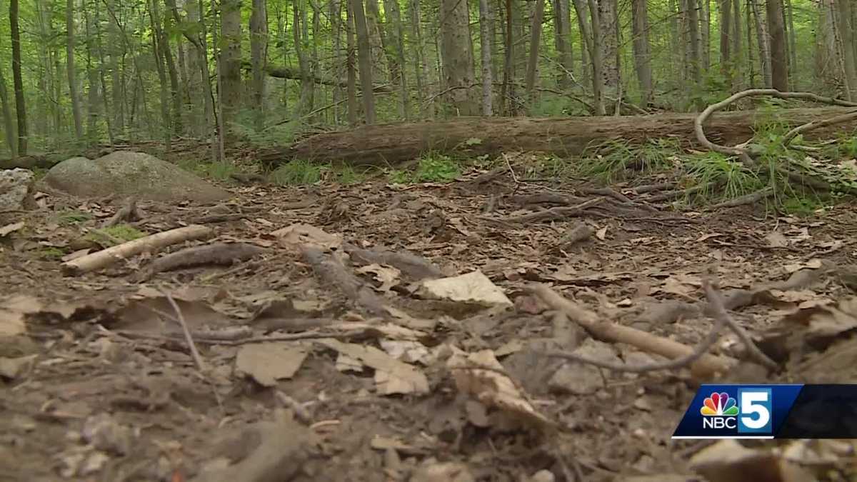 Adirondack trails are being overused