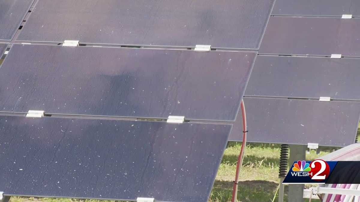 Inside look: Walt Disney World's solar farm