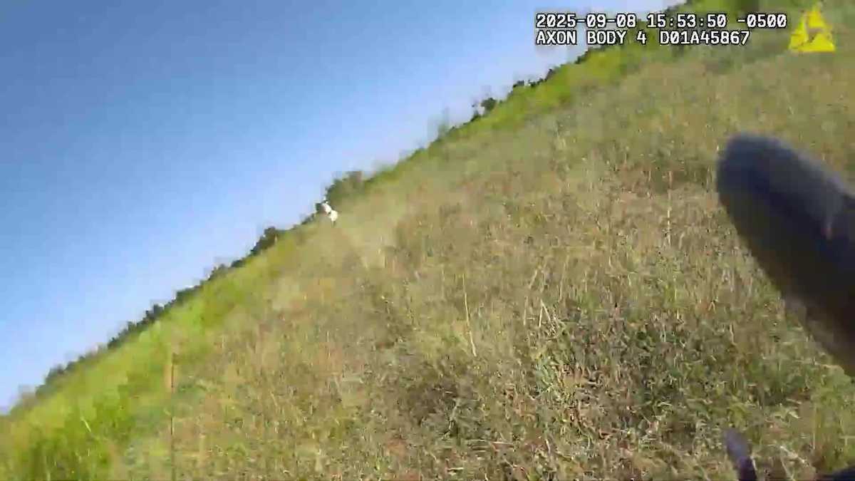 Lousiana State Police release dashcam, body cam video of deadly trooper ...