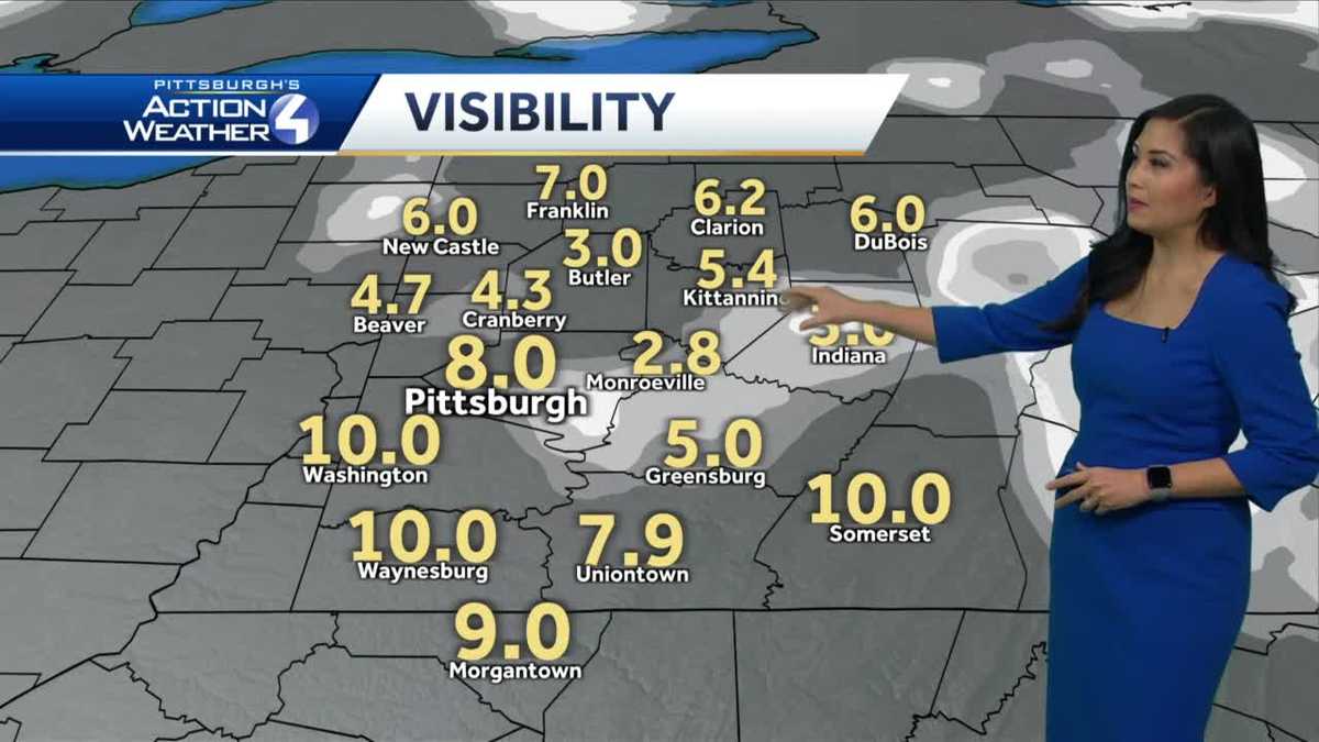 Cloudy with An Isolated Light Rain/Snow Shower