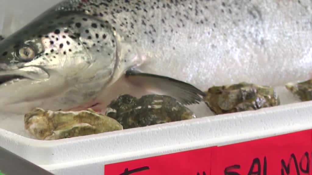 Salmon fishing season returns to Central Coast for first time in 4 years