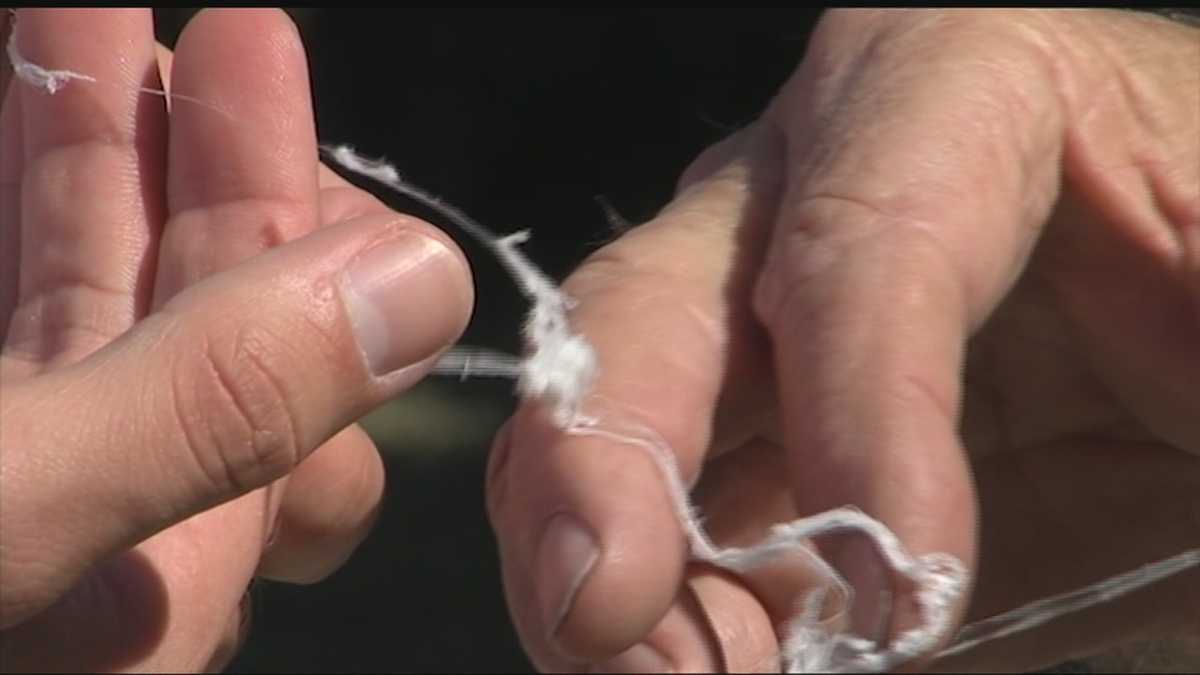 What are those strands of spider webs floating through the sky?