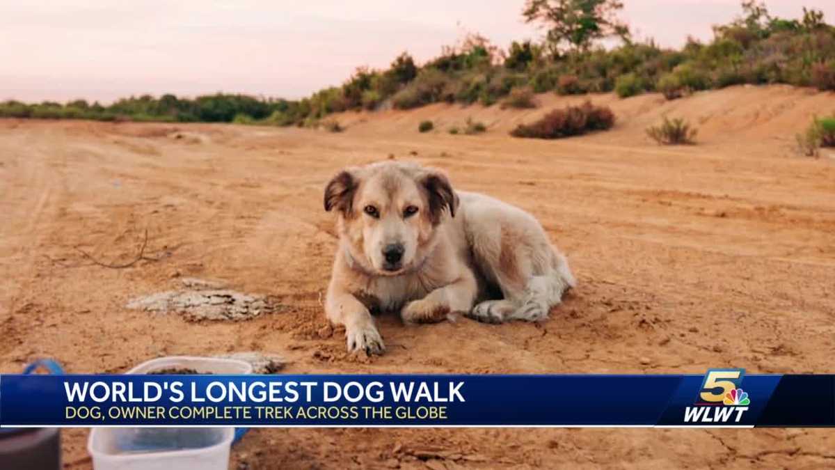 Dog, owner set record for world's longest walk; pair travels across 38 ...