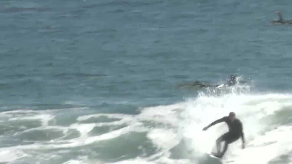 Santa Cruz surfers face climate change threat