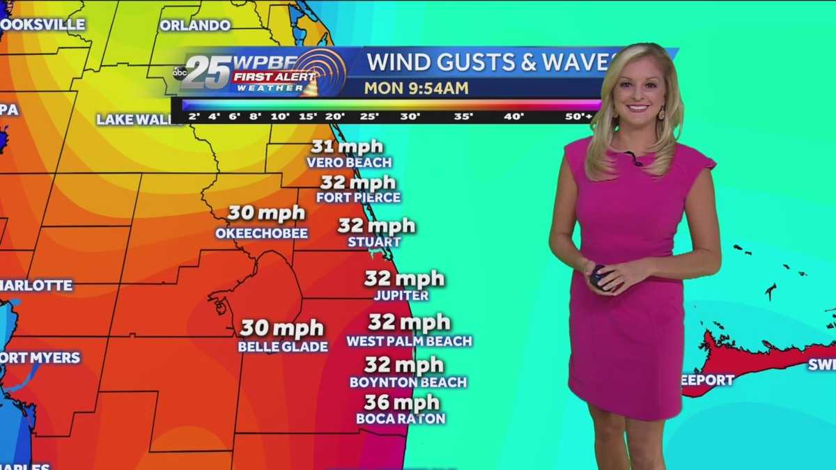 Taylor Grenda's Video Forecast