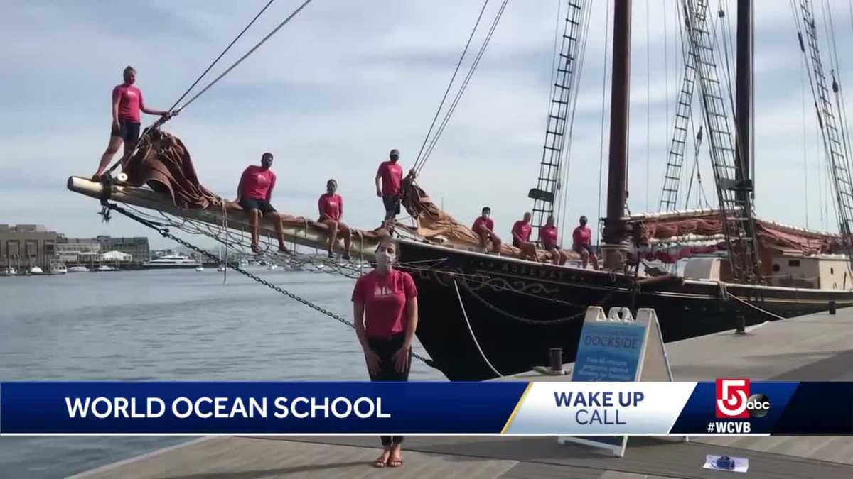 Wake Up Call from World Ocean School