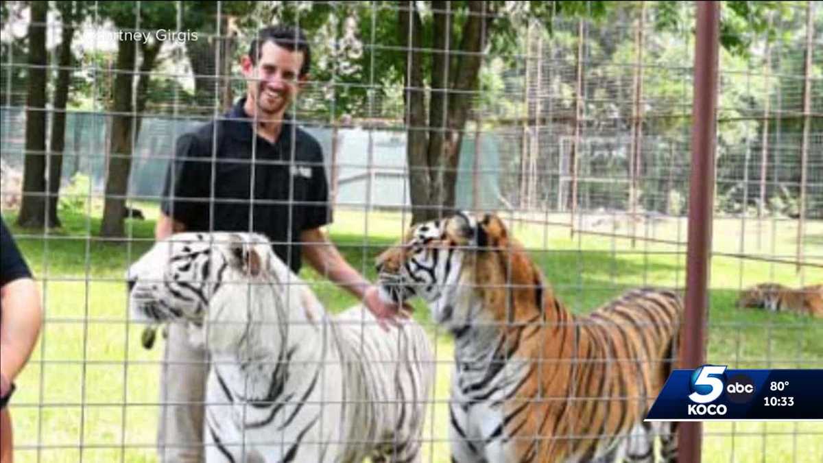 Oklahoma tiger handler was fatally mauled during big cat show