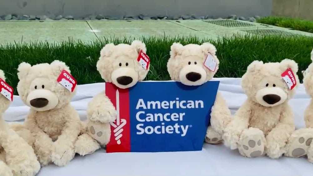 Bear hugs! Young UC Davis cancer patients receive comforting delivery
