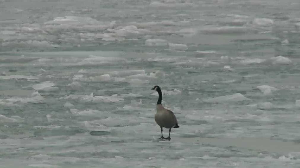 How salt pollutes Milwaukee's water system