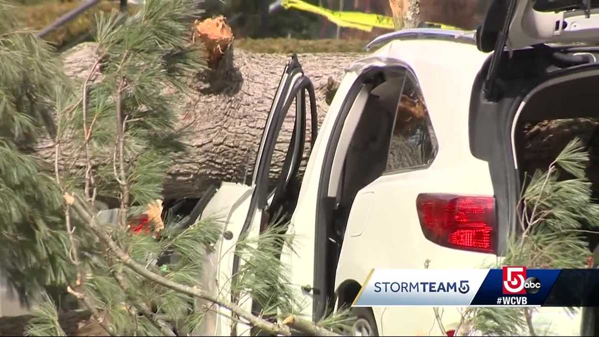 Tree falls on car pinning woman, child inside