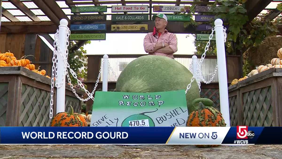 Local grower gets giant gourd in record books