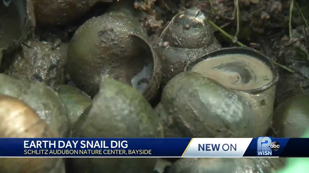 Students spend Earth Day hunting for invasive species