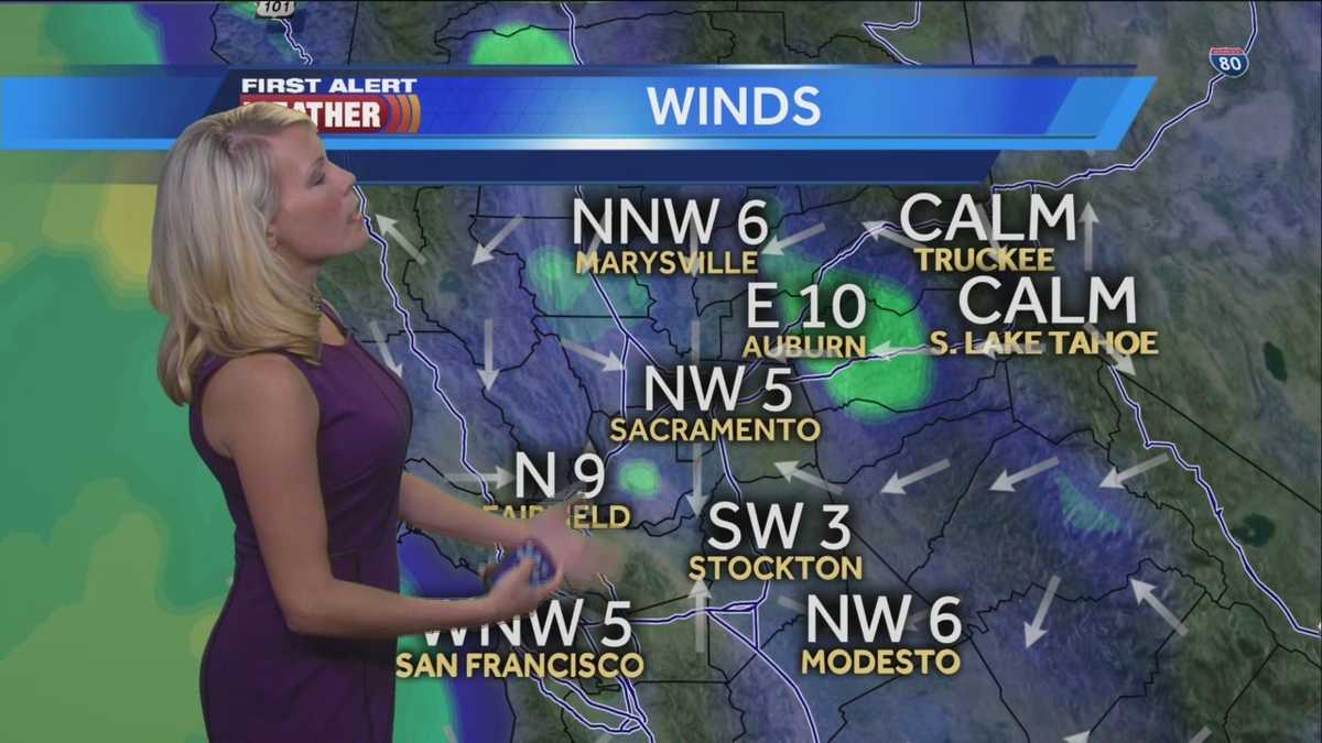 Tamara's Forecast 3.13.14