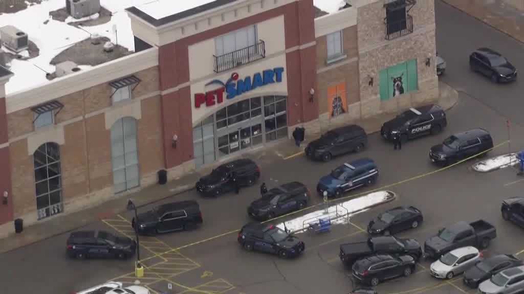 Best Buy theft leads to chaotic police chase across Brookfield