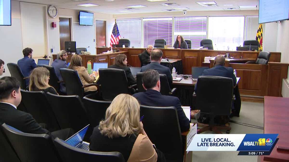 BGE: Utility has 'unrestricted rights' for power line project