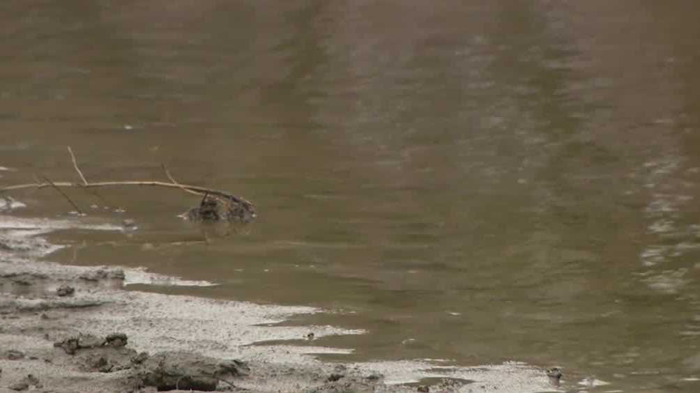 Fertilizer spill in Red Oak, Iowa flows into Missouri River