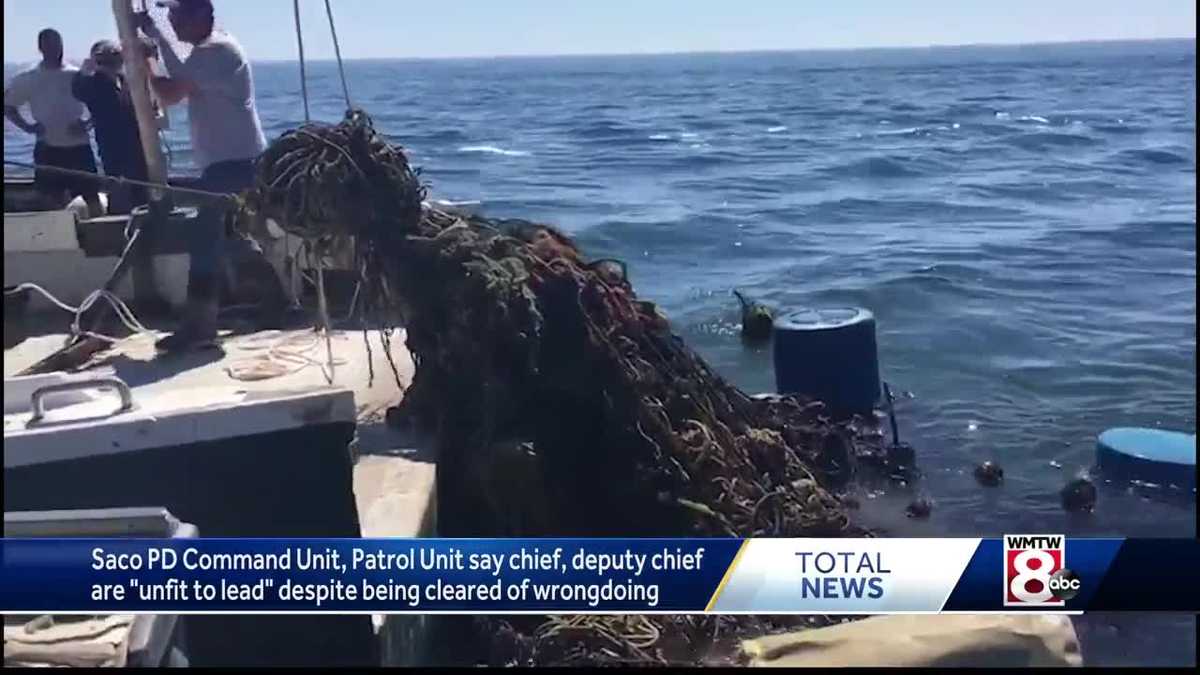 Massive tangle of fishing gear pulled out of The Gulf of Maine