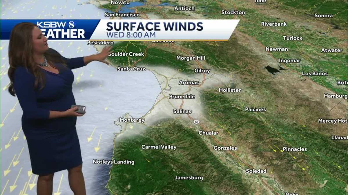 Seasonable July weather continues