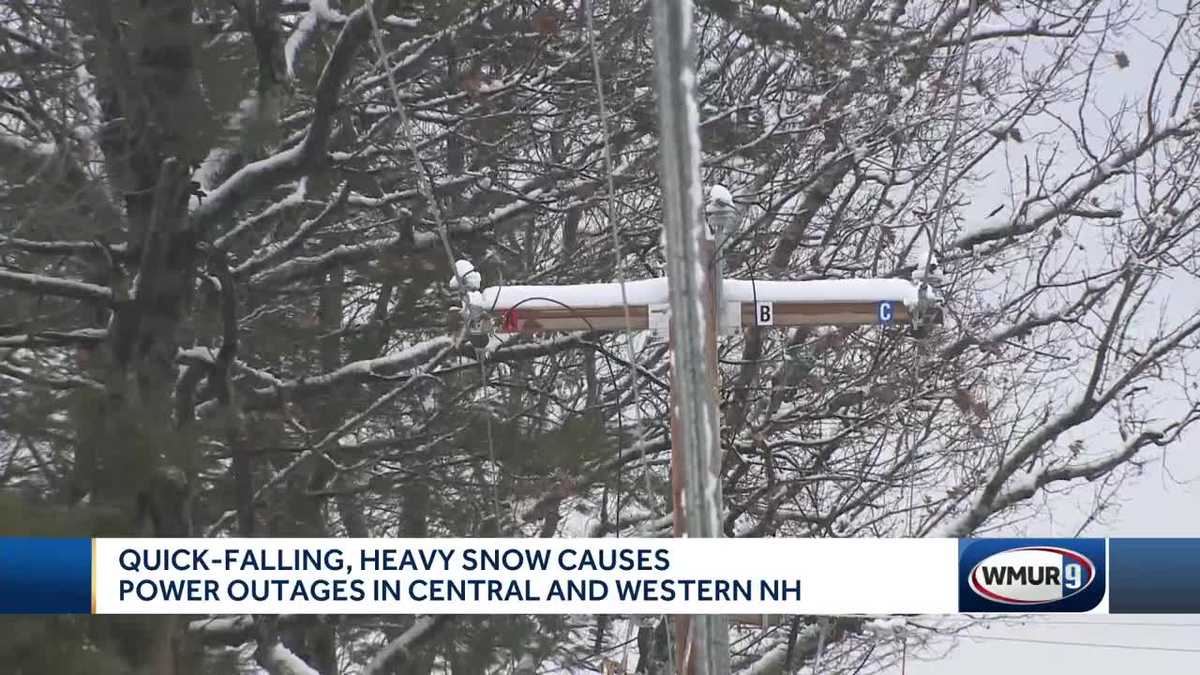 Wet snow brings down power lines