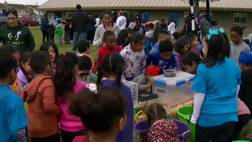 Students get first-hand look at farming in CA during 19th Annual ...