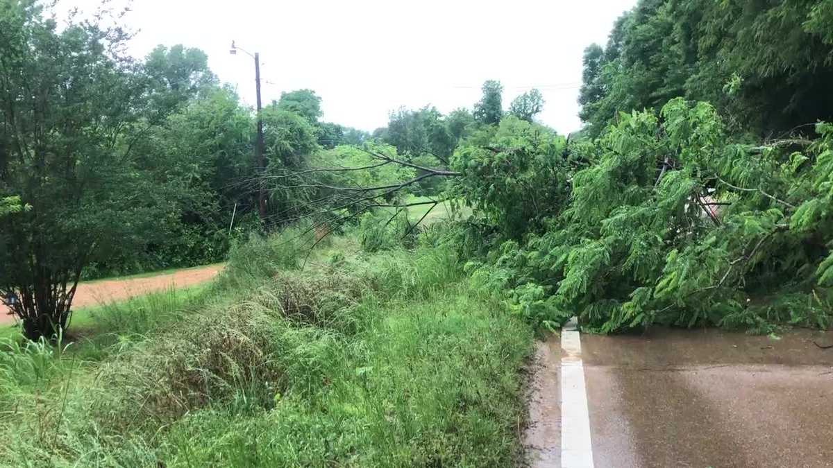Tree falls, blocking road in Warren County
