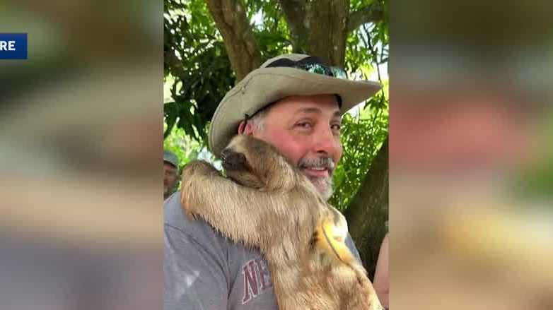 Nashua shooting victim's widow releases statement