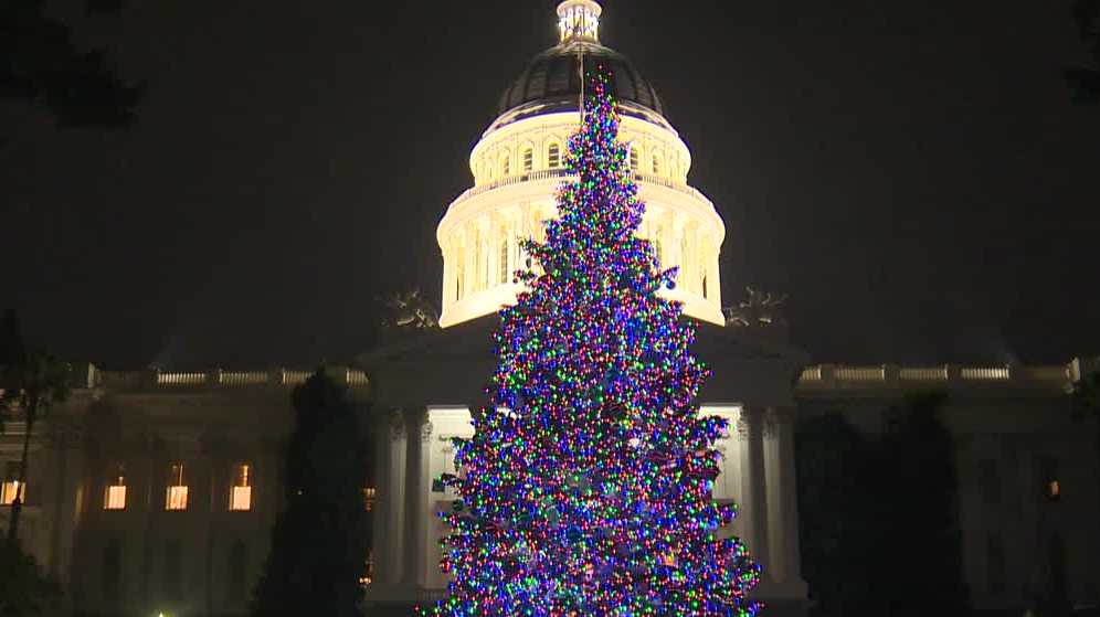 Watch the 2024 California Capitol Tree lighting ceremony