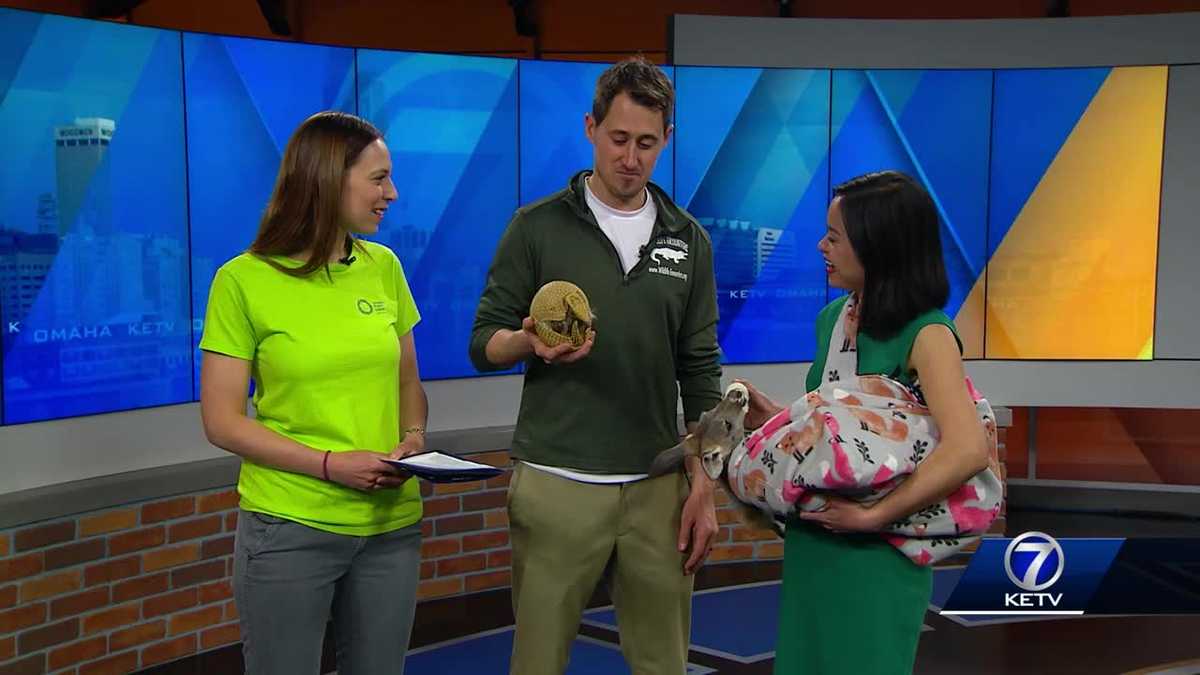 Wildlife Encounters and Omaha Public Library share plans for upcoming ...