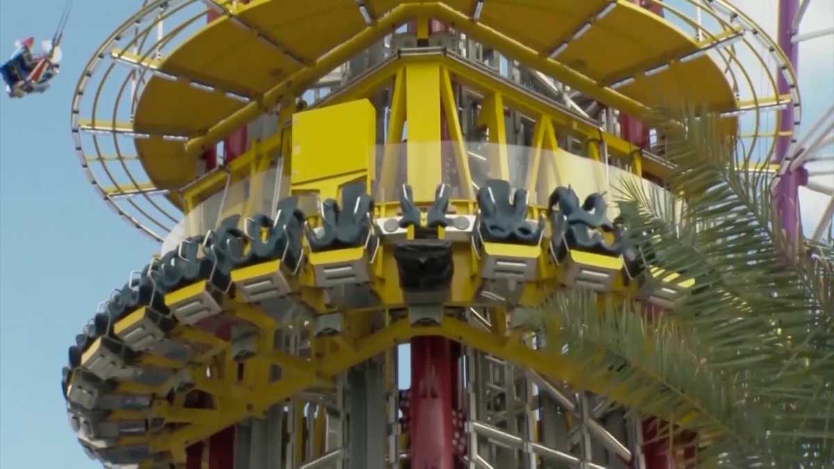 FreeFall death charges: Where the criminal investigation stands