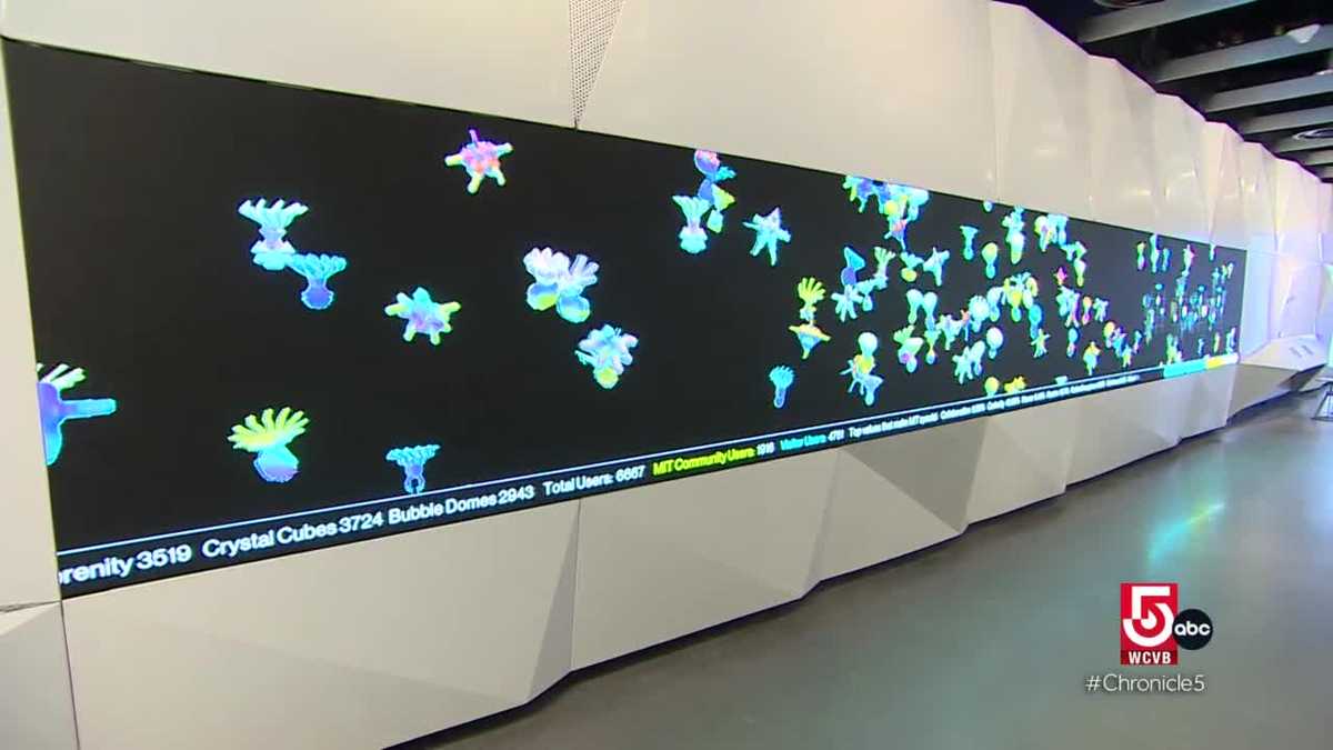 New MIT Museum answers some unusual questions