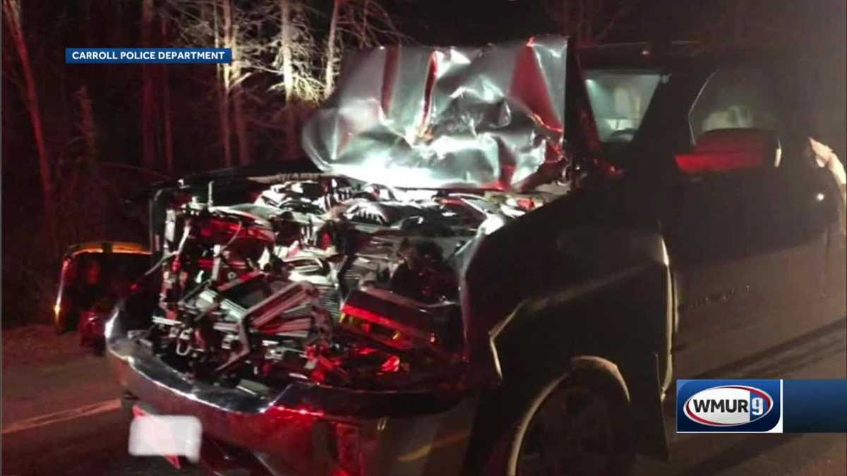 Crews respond to 2 crashes involving moose Tuesday night, officials ...