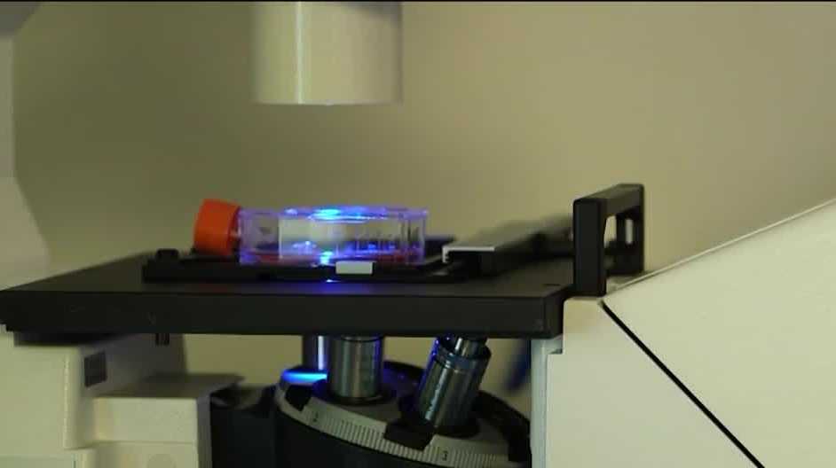 Genetic Cancer Screening: Learn more about hereditary cancers