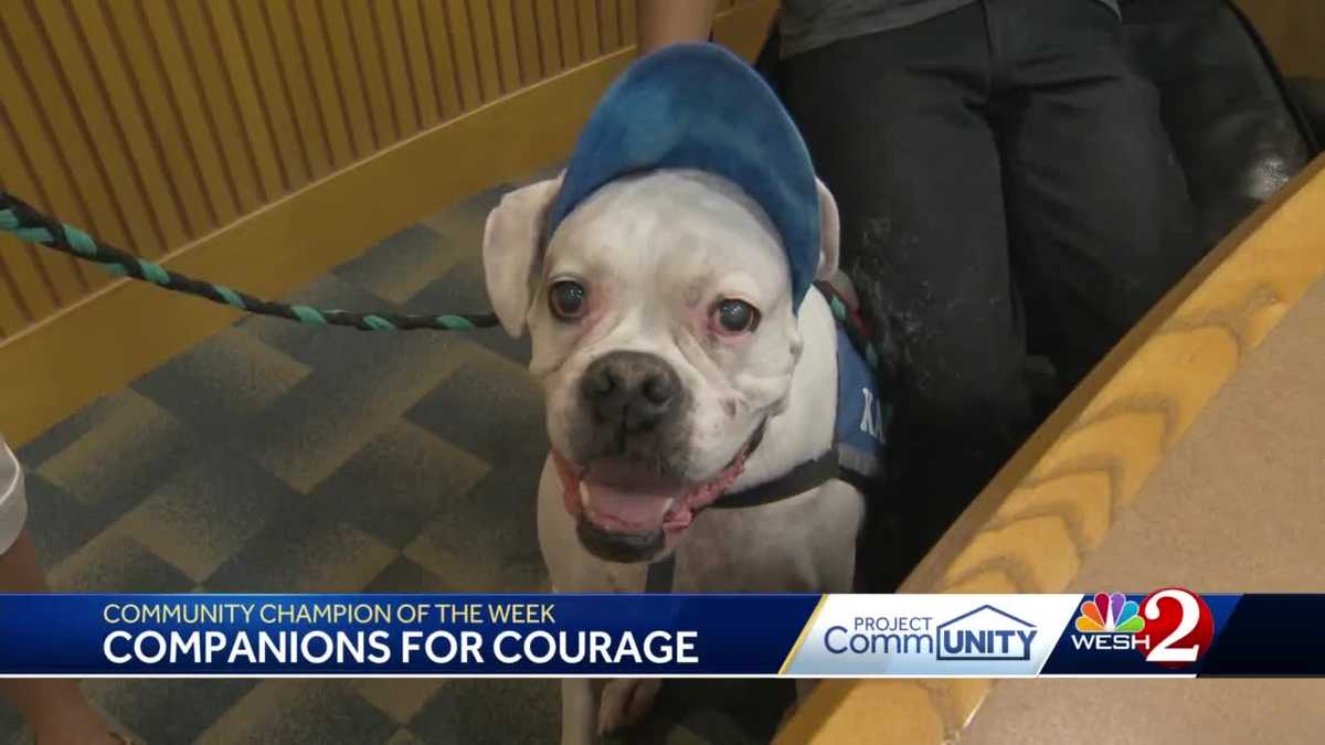 Organization brings therapy dogs to children testifying in Central ...