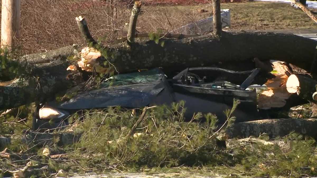 Raw scene video: Falling tree hits 2 cars in Salem, New Hampshire