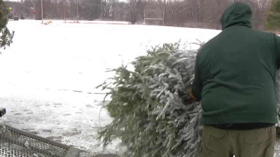 Omaha-area Boy Scouts providing Christmas tree service