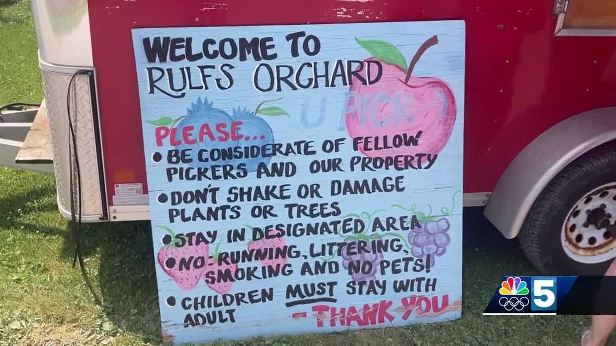 Rulfs Orchard shortens strawberry U-pick hours amid heat wave