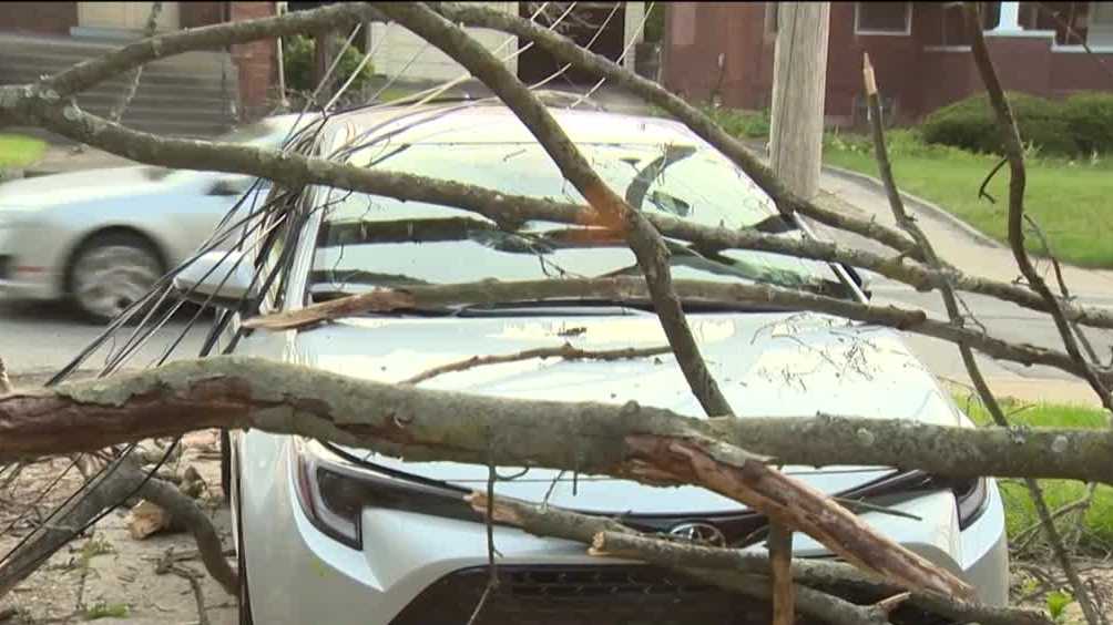Tree branch falls on cars in Pittsburgh Brookline