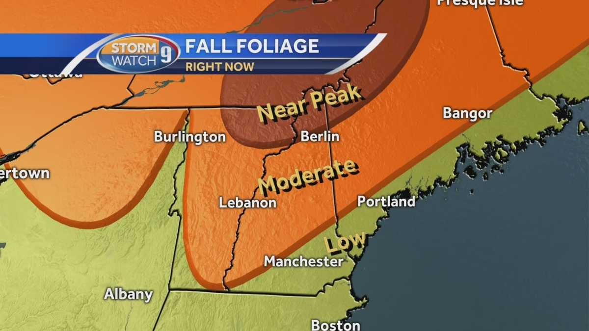 Fall foliage report: Colors starting to pop across NH