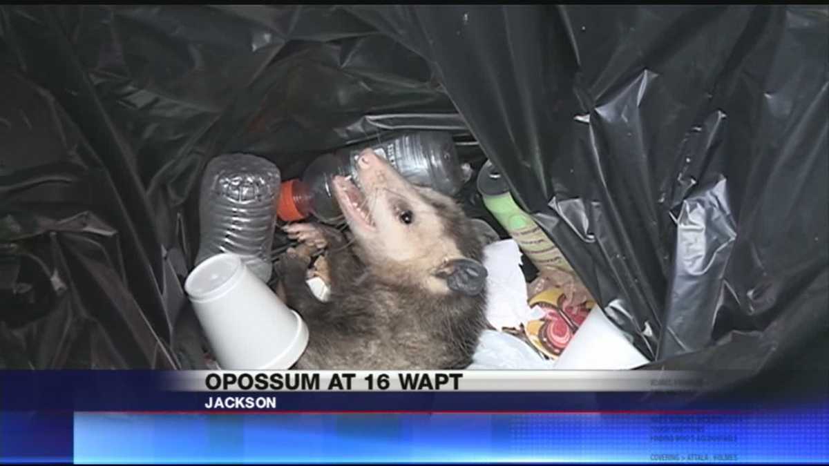 16 WAPT has unexpected visitor