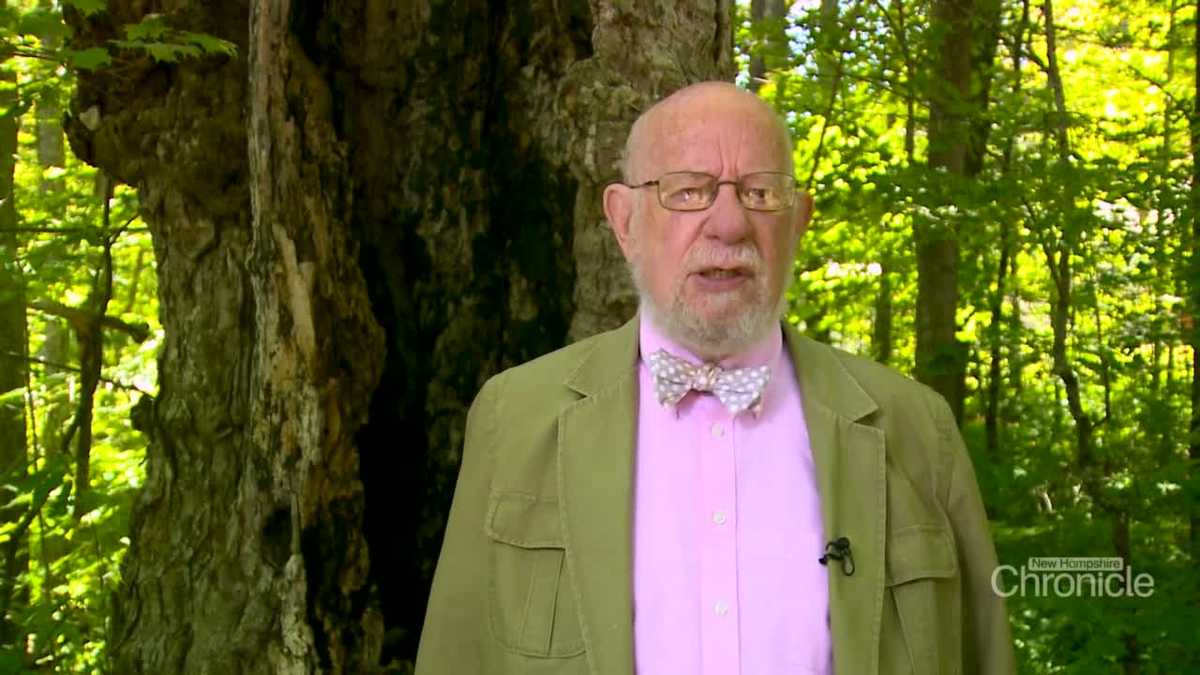 Fritz Wetherbee's New Hampshire: A sign from Hell in Derry