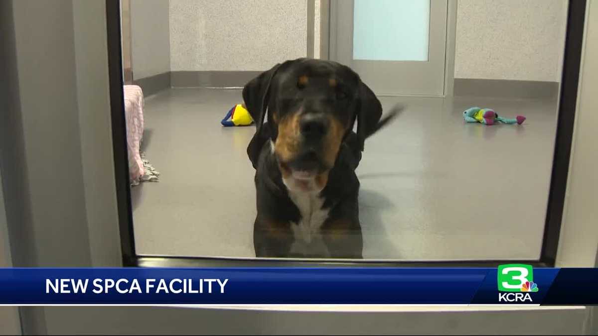 Placer SPCA unveils new Roseville location