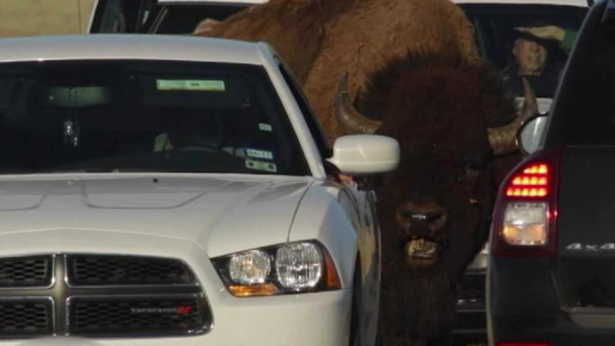 Which State Has the Worst Drivers?