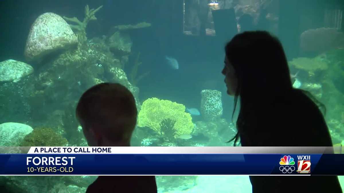 North Carolina: 'Family means love;' meet 10-year-old Forrest awaiting ...
