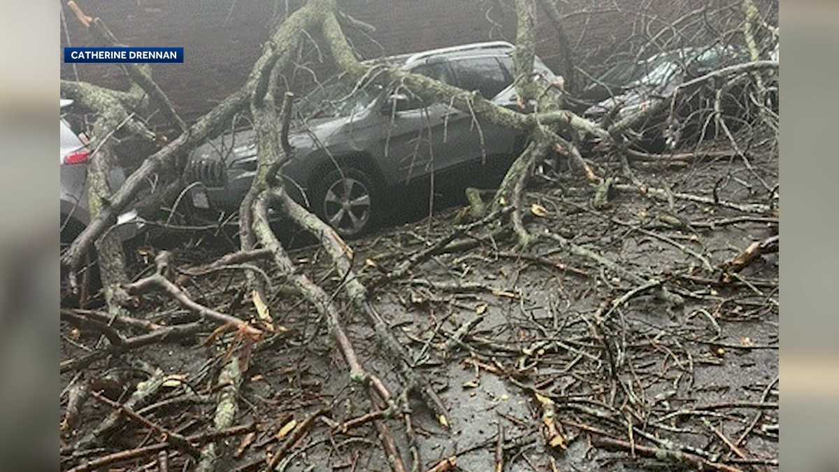Nor'easter's path of damage in Boston neighborhoods