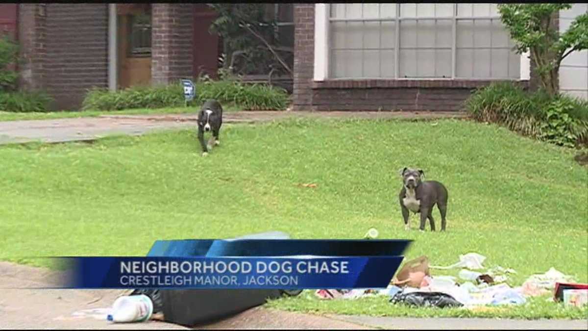 Neighbors call cops about dogs