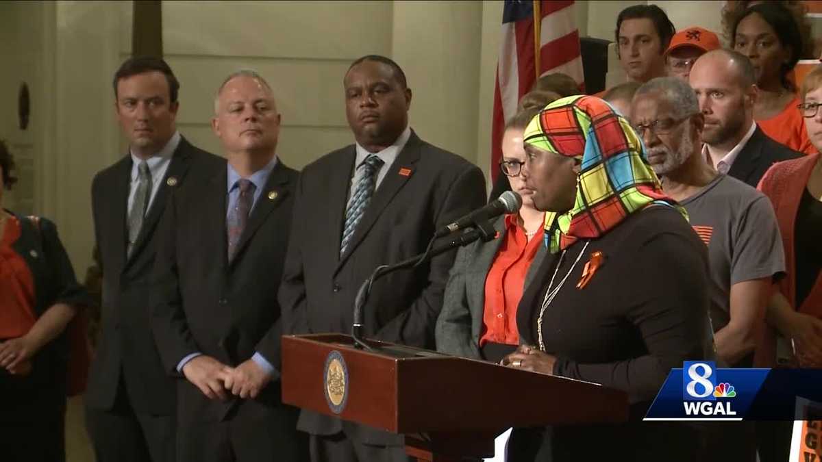 Gun Violence Awareness Day rally held at State Capitol