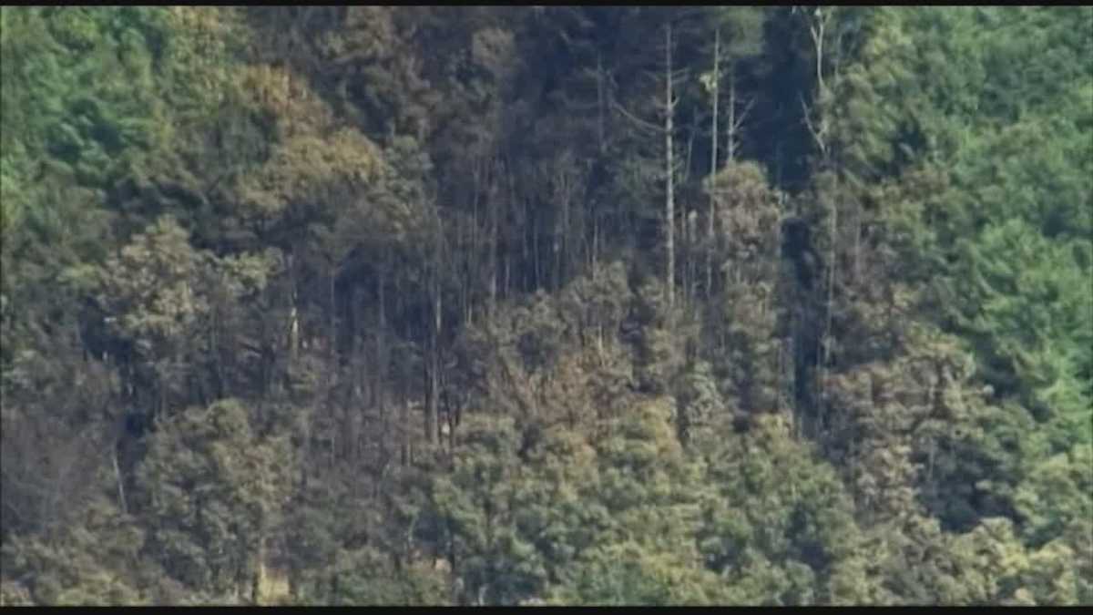 Military pilot was in Virginia F-15 crash