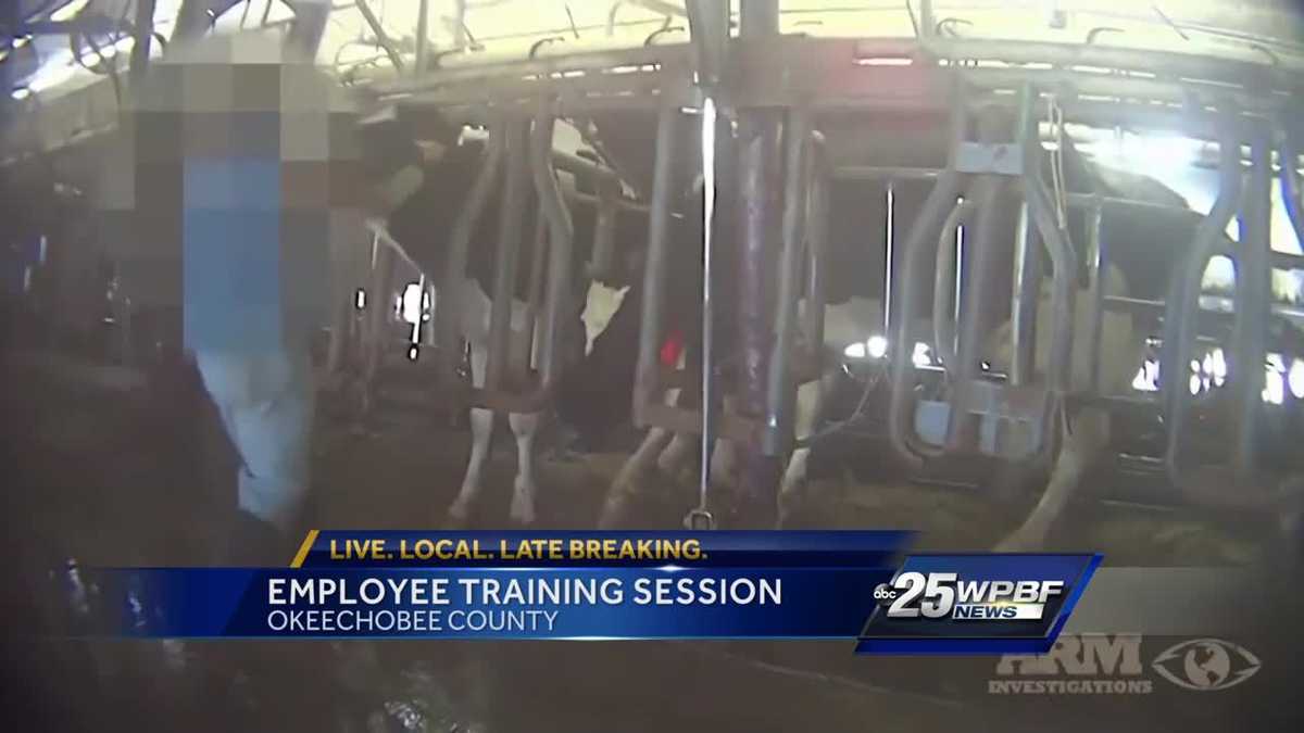 Employee training session for local dairy farm
