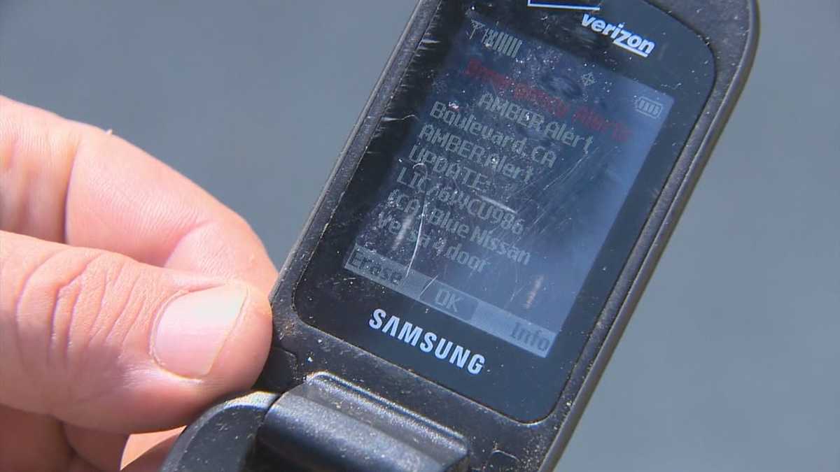 Millions of phones buzzed in first-of-its kind alert