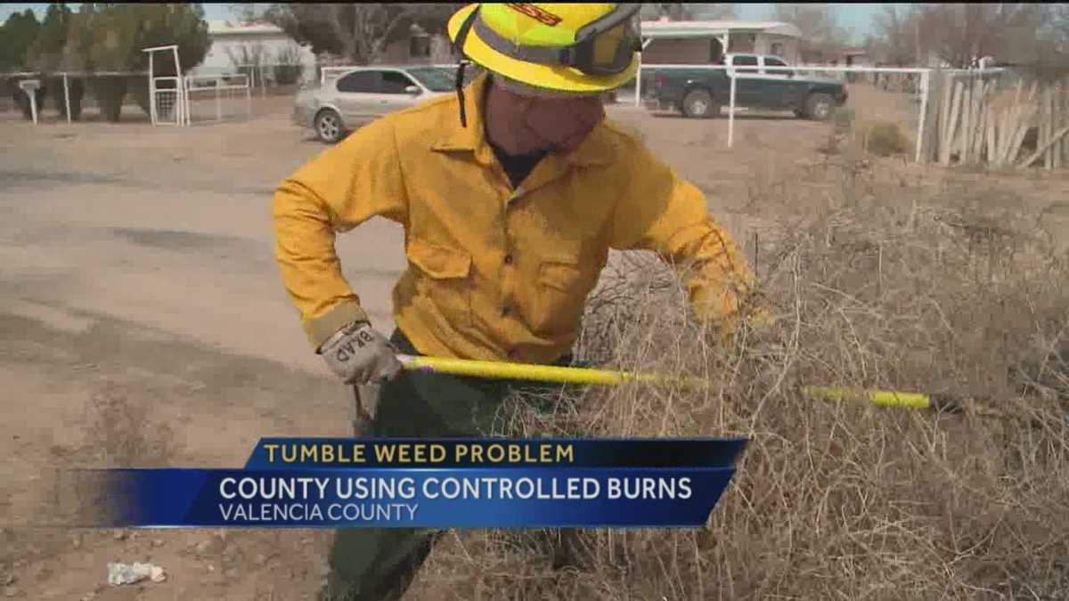 Tumbleweed Burn